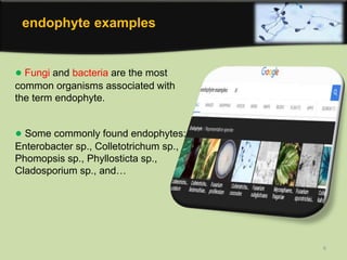Endophyte(by: elham lasemi PhD of nematology) | PPTX