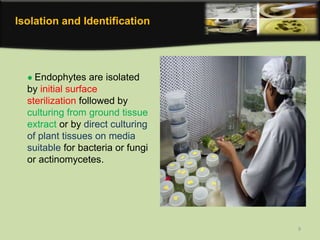 Endophyte(by: elham lasemi PhD of nematology) | PPTX