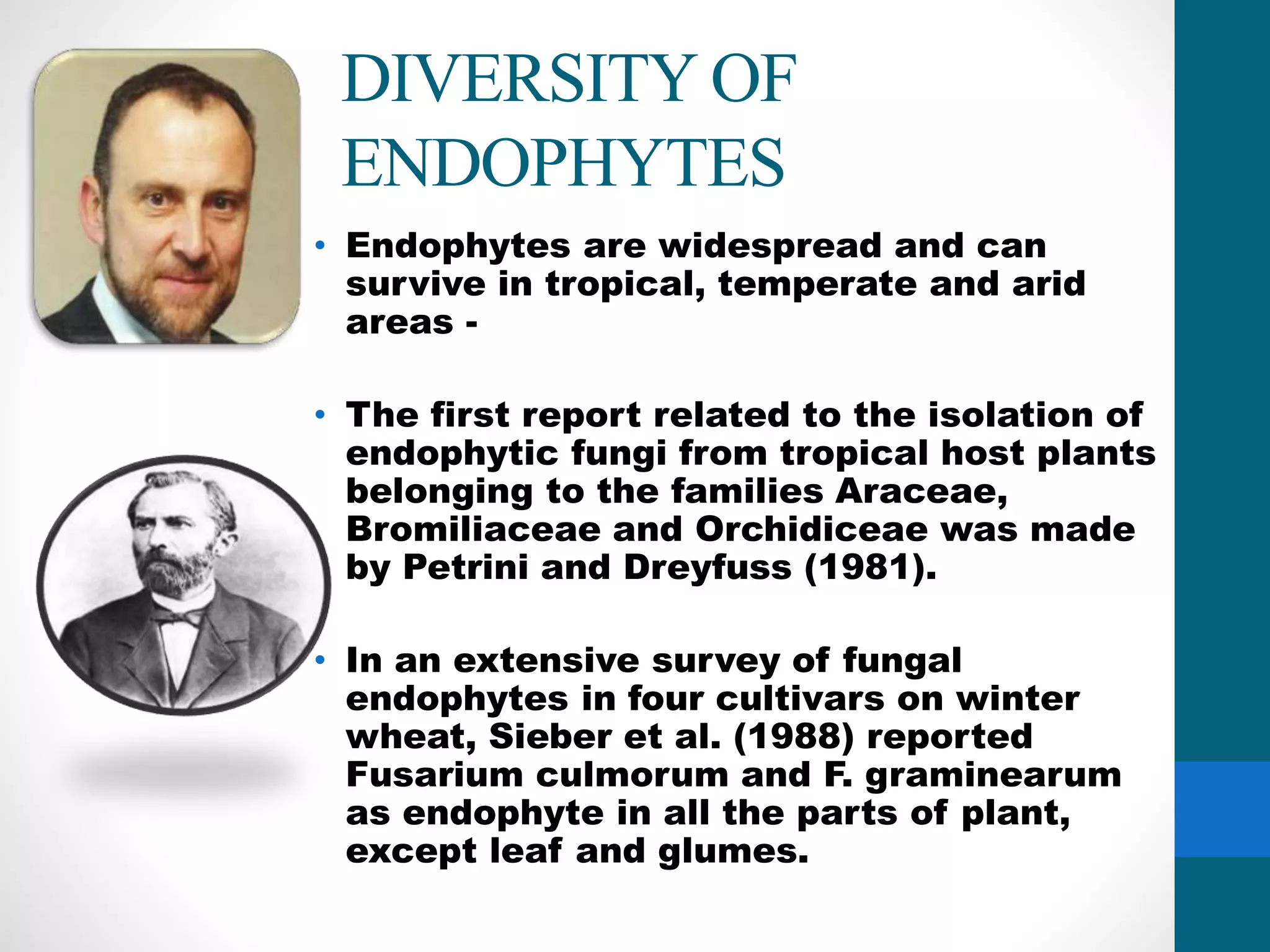 Microbial Endophytes | PPTX