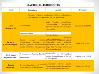 Microbial Endophytes | PPTX