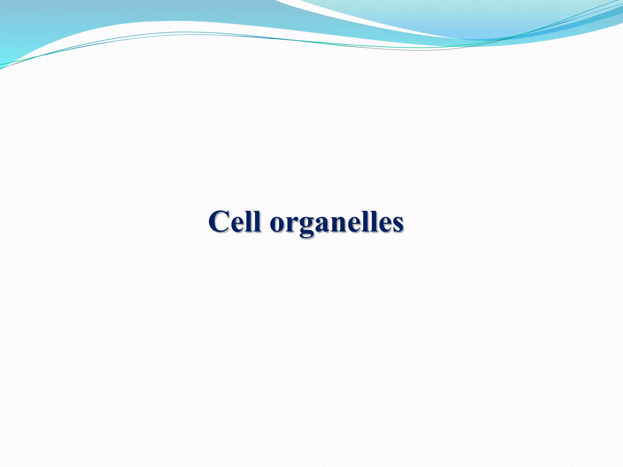 Cell organelles: Endoplasmic reticulum | PPT