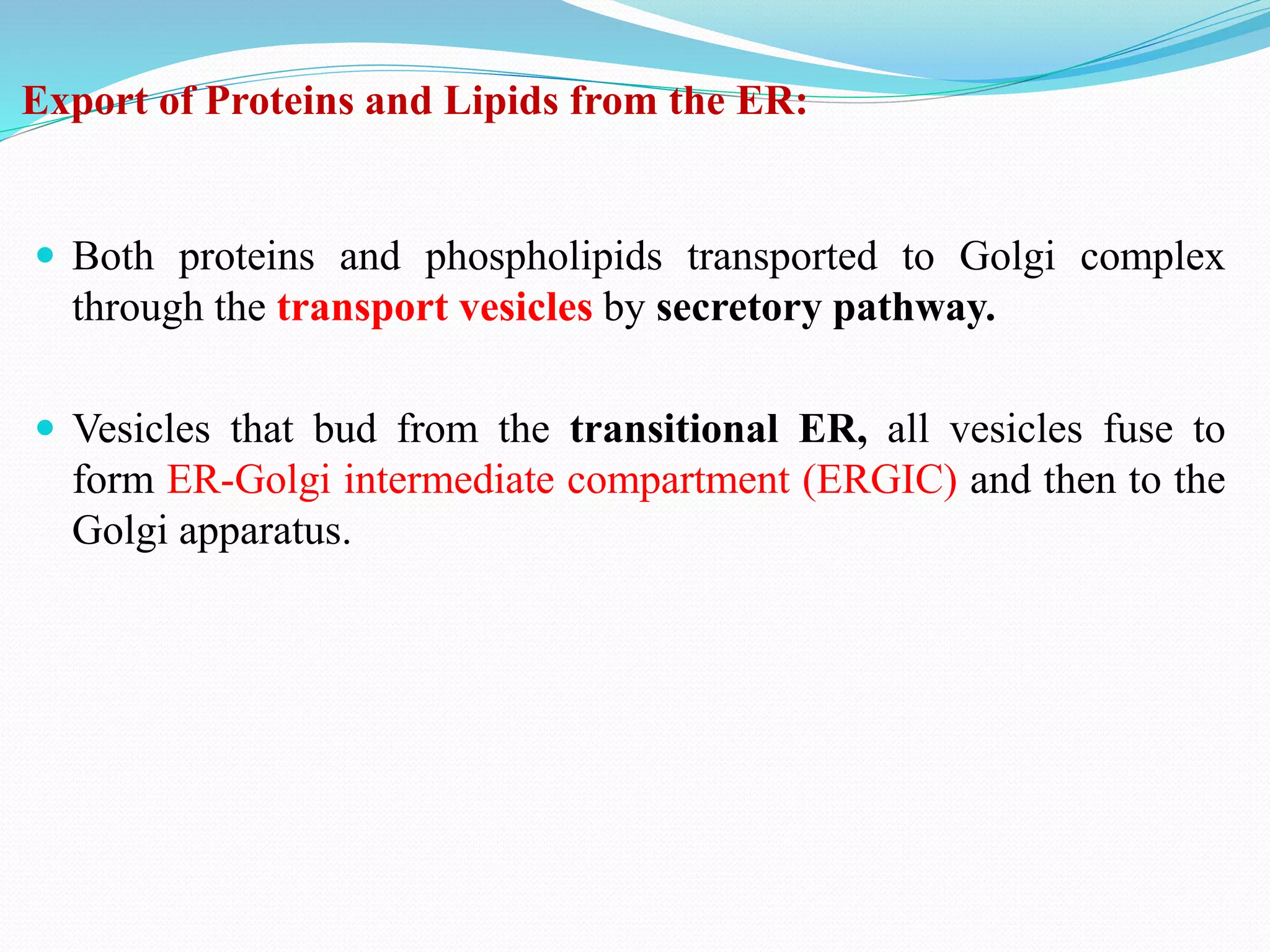 Cell organelles: Endoplasmic reticulum | PPT