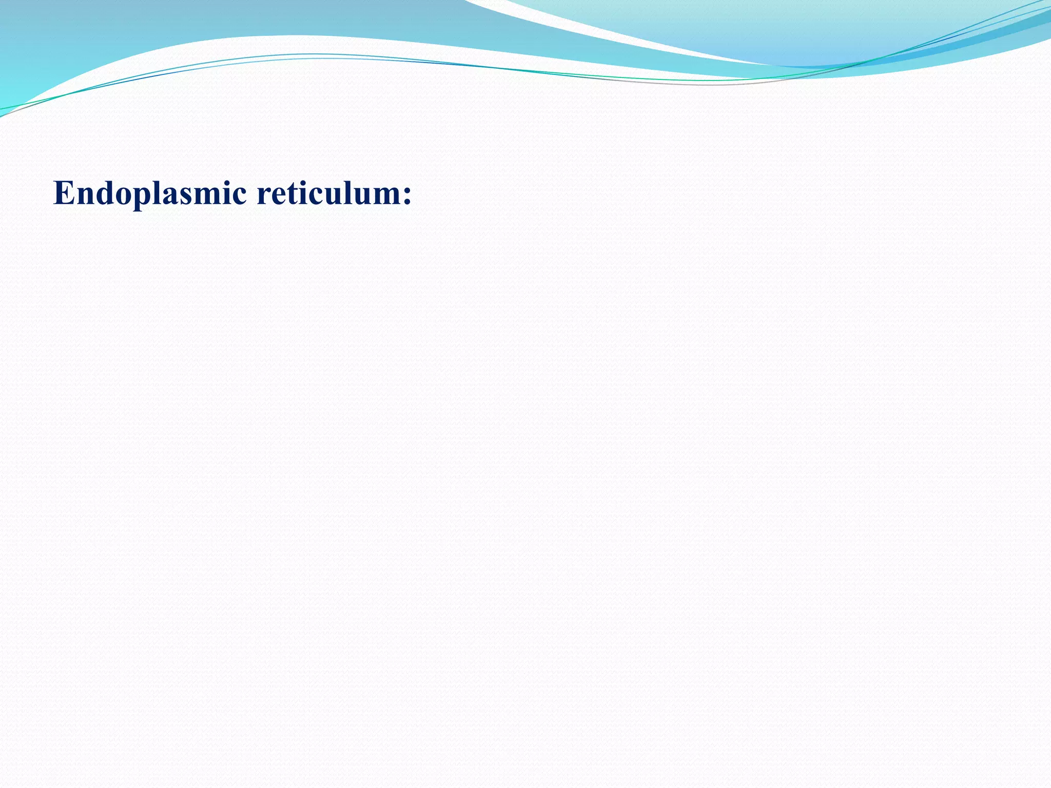 Cell organelles: Endoplasmic reticulum | PPT