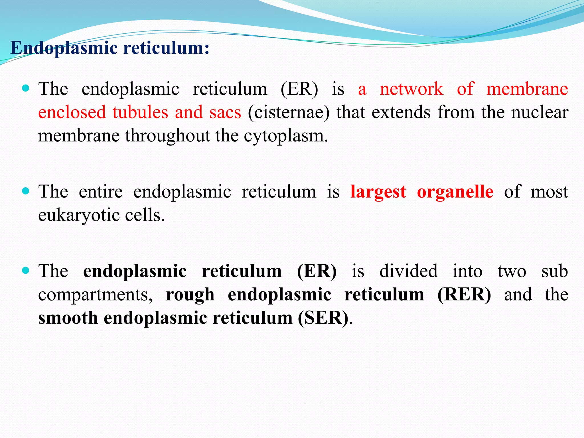 Cell organelles: Endoplasmic reticulum | PPT