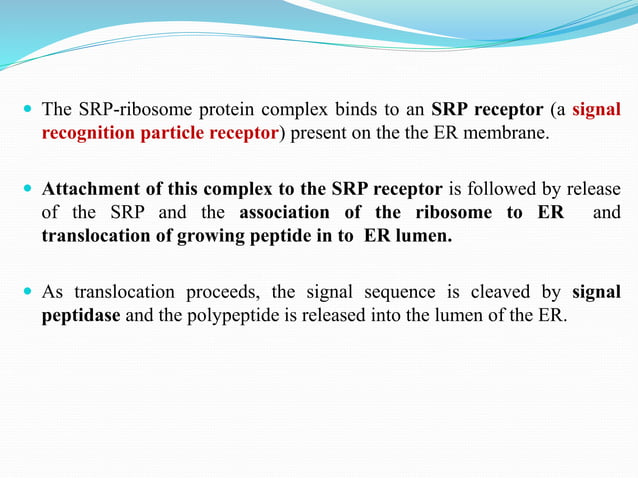 Cell organelles: Endoplasmic reticulum | PPT