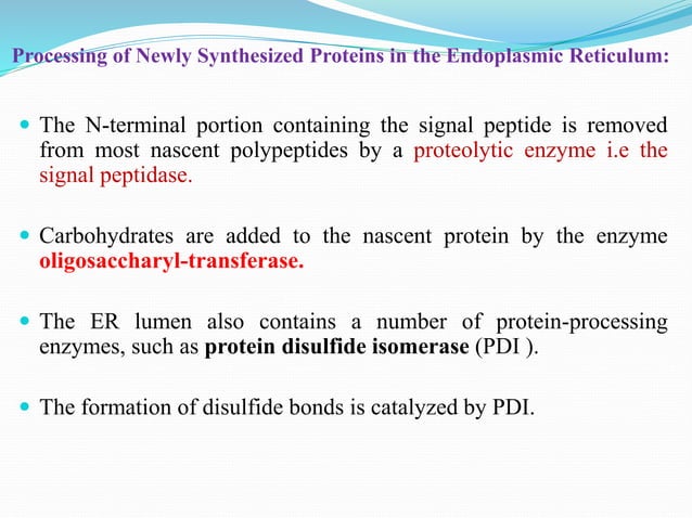 Cell organelles: Endoplasmic reticulum | PPT