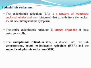 Cell organelles: Endoplasmic reticulum | PPT