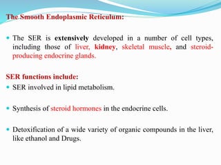 Cell organelles: Endoplasmic reticulum | PPT