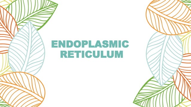 ENDOPLASMIC RETICULUM The cell Organelle | PPTX
