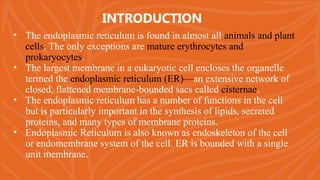 ENDOPLASMIC RETICULUM The cell Organelle | PPTX