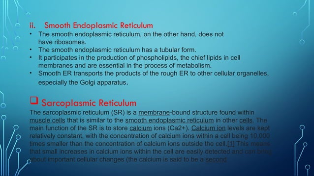 endoplasmic reticulum publish paper by deepak.pptx