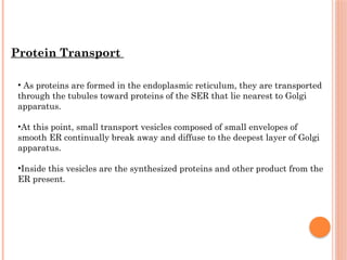 ENDOPLASMIC reticulum based material.pptx