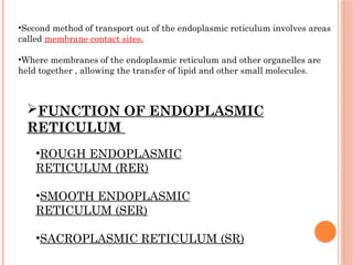 ENDOPLASMIC reticulum based material.pptx