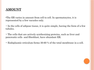 ENDOPLASMIC reticulum based material.pptx