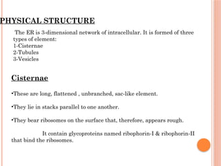 ENDOPLASMIC reticulum based material.pptx