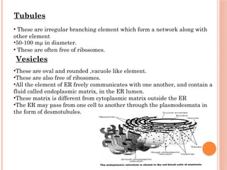 ENDOPLASMIC reticulum based material.pptx