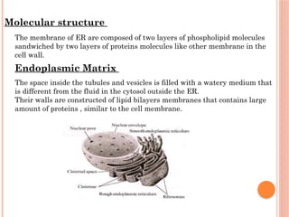 ENDOPLASMIC reticulum based material.pptx