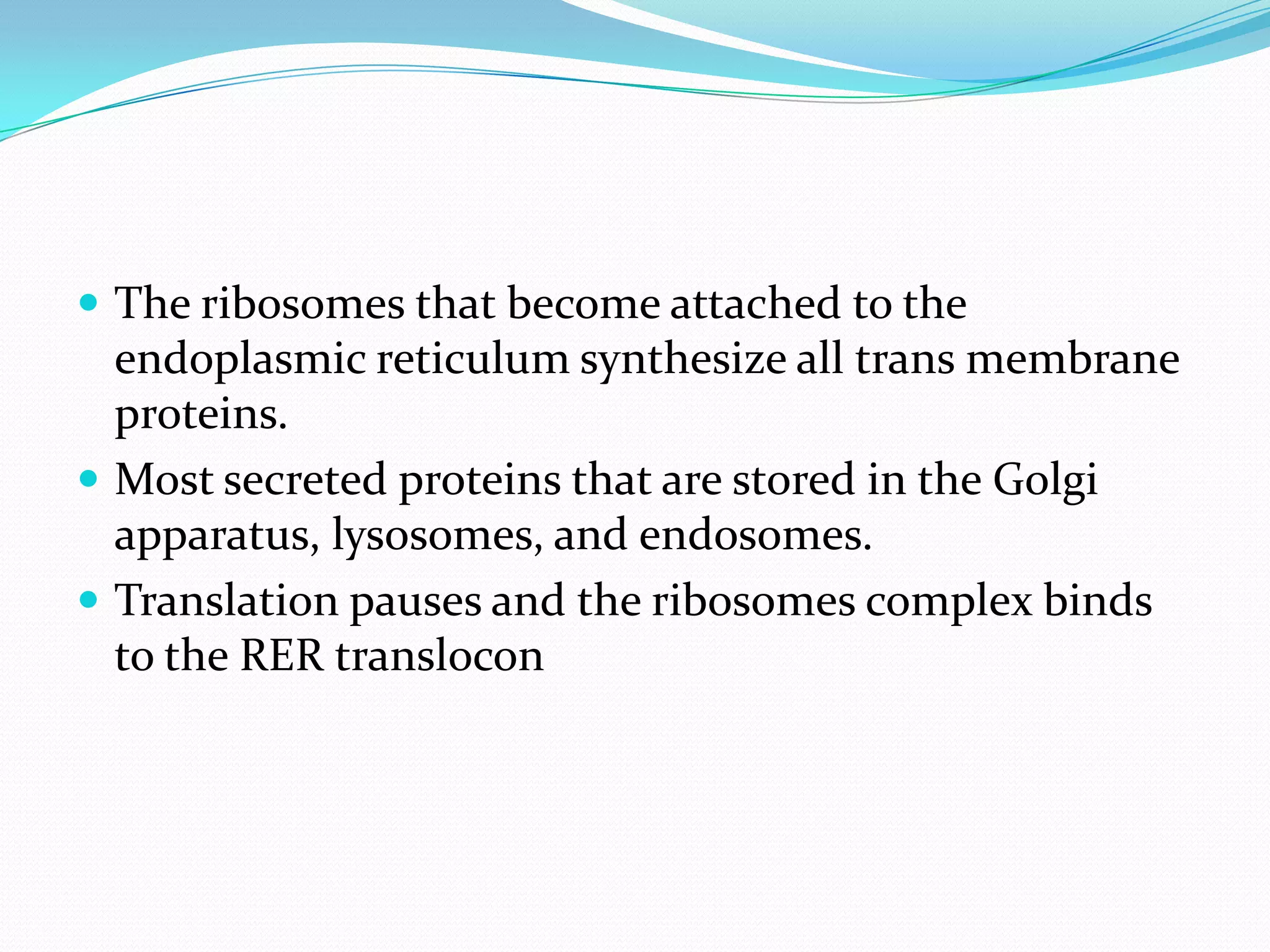 Endoplasmic reticulum | PPTX