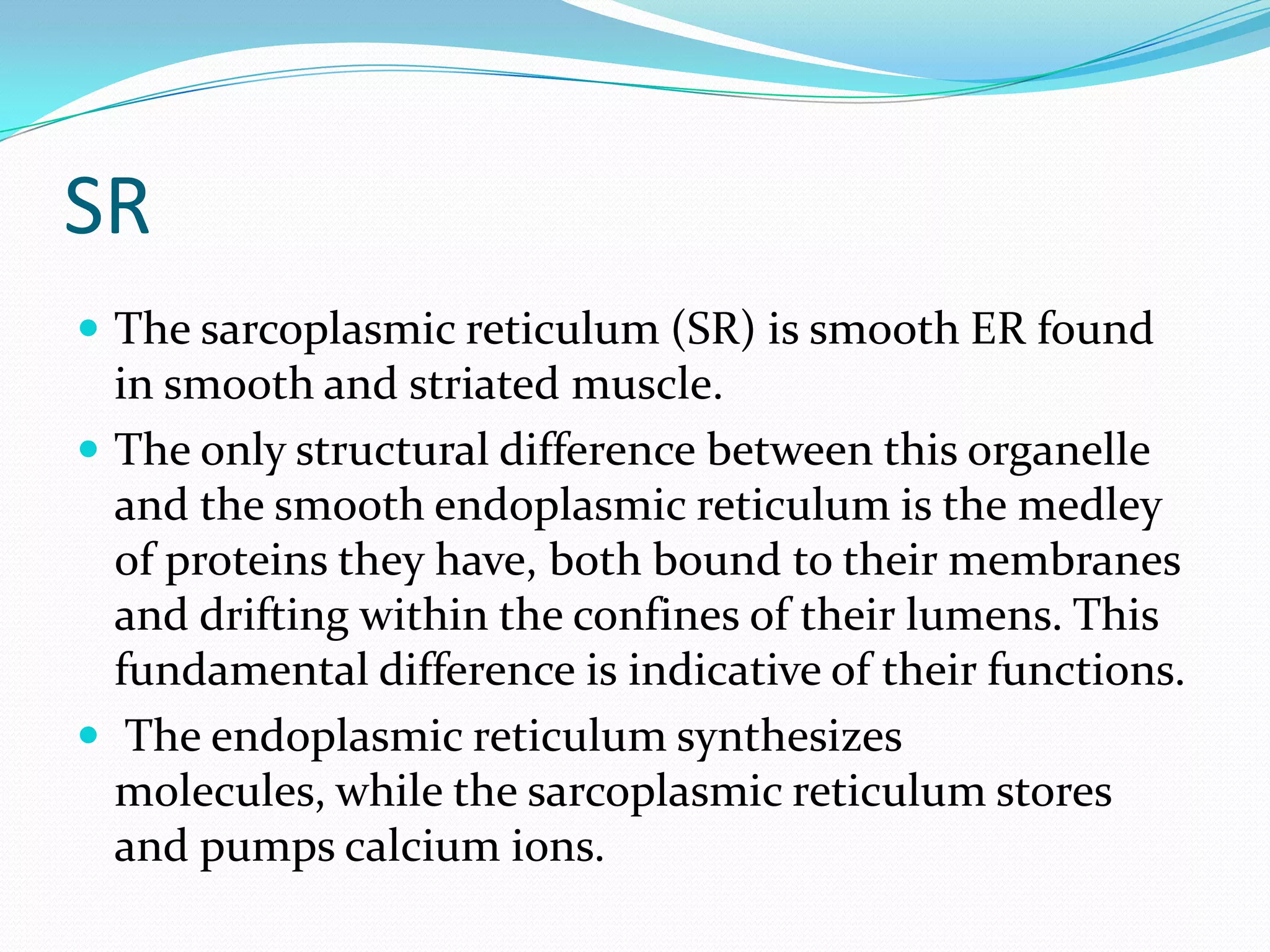Endoplasmic reticulum | PPTX