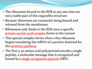 Endoplasmic reticulum | PPTX