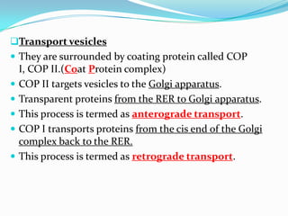 Endoplasmic reticulum | PPTX