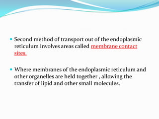 Endoplasmic reticulum | PPTX