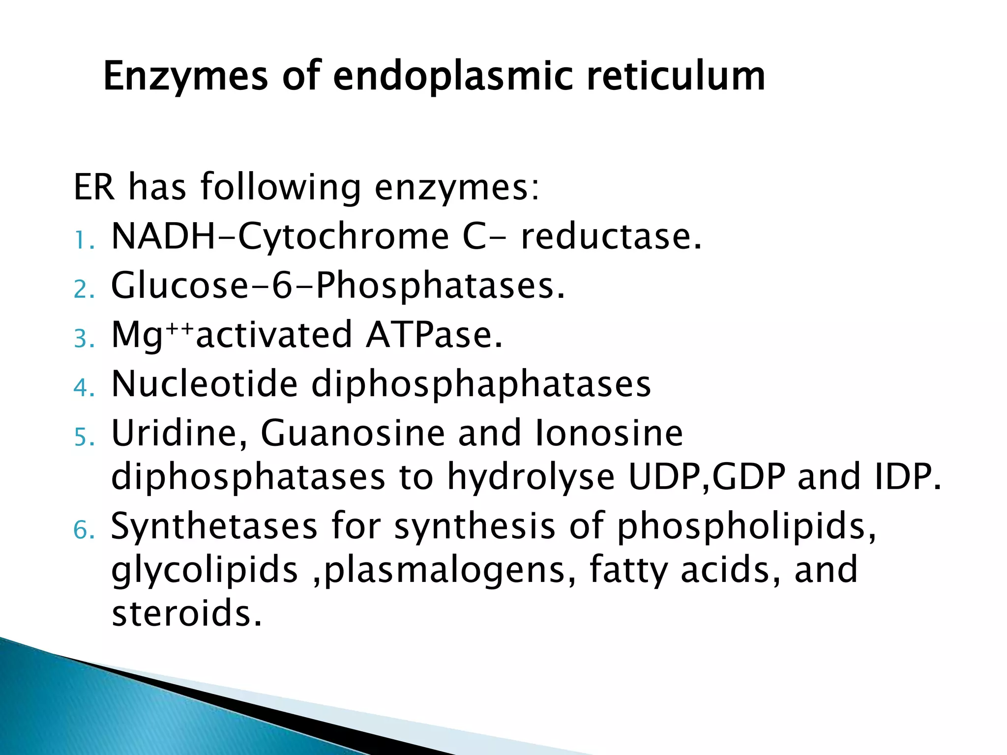 Endoplasmic reticulum- cell Organelle | PPTX