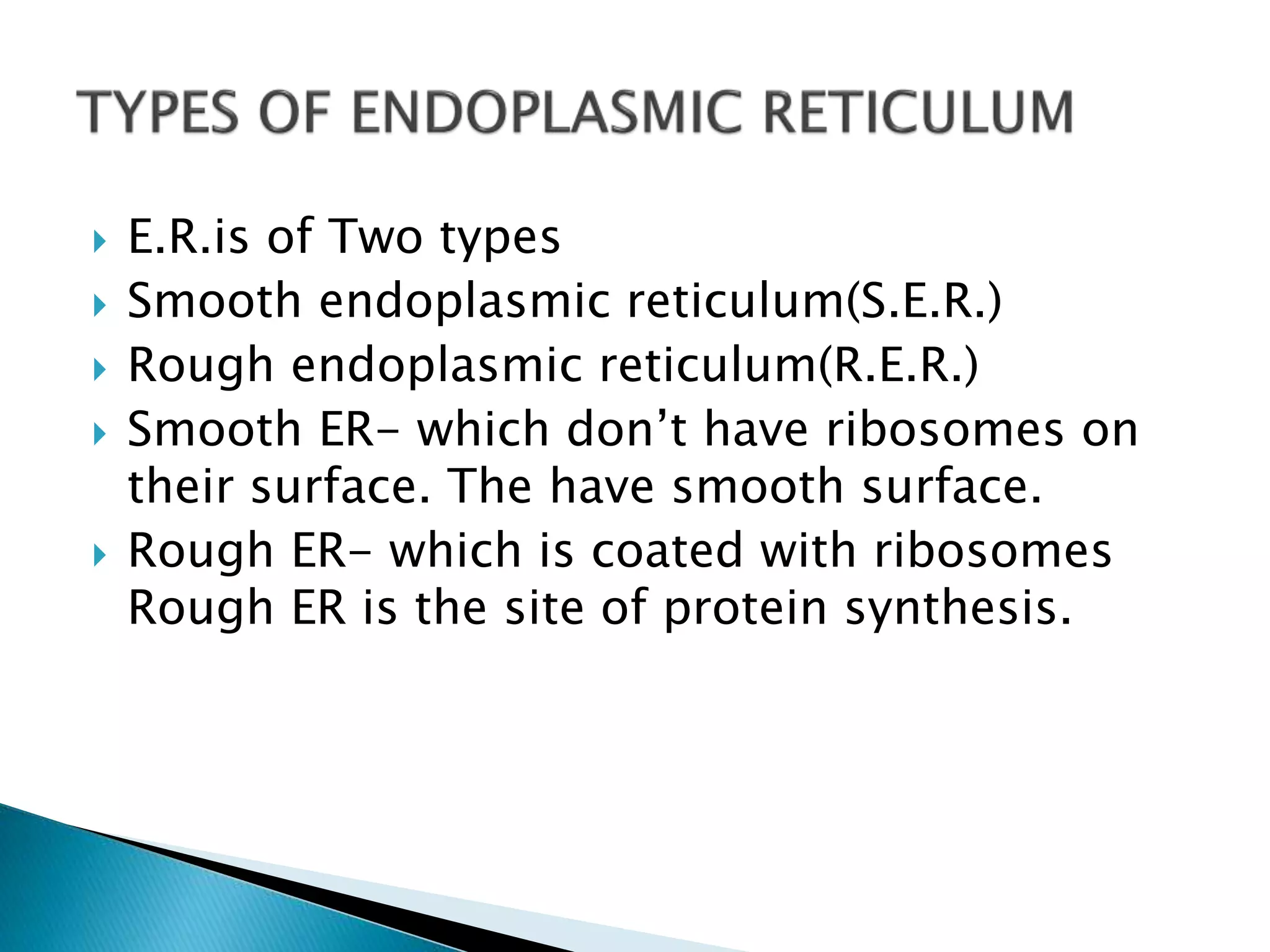 Endoplasmic reticulum- cell Organelle | PPTX