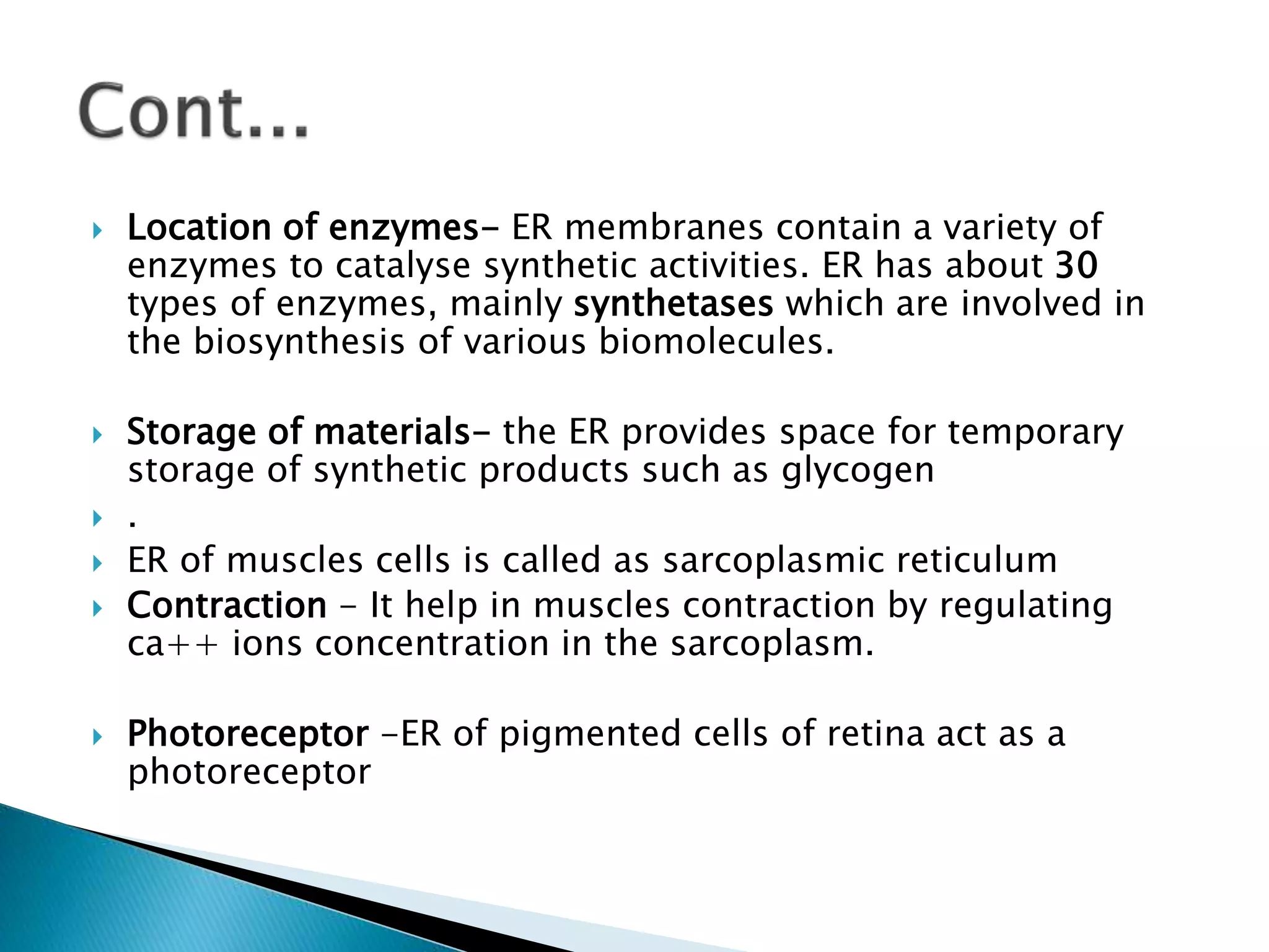 Endoplasmic reticulum- cell Organelle | PPTX