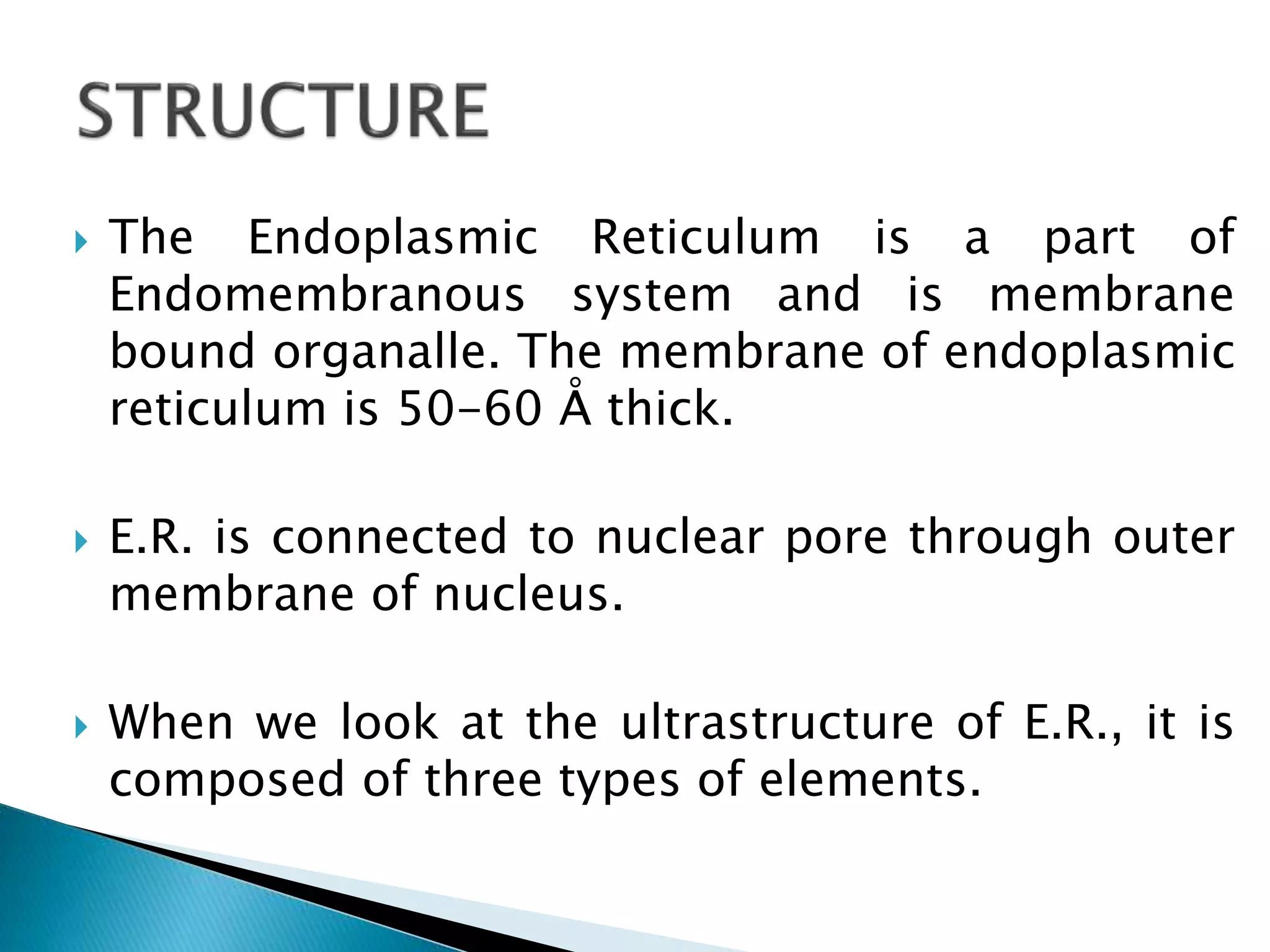 Endoplasmic reticulum- cell Organelle | PPTX