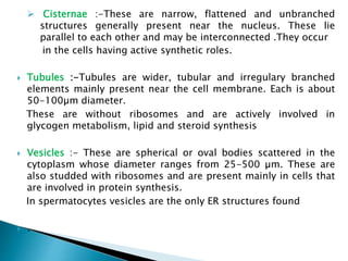 Endoplasmic reticulum- cell Organelle | PPTX