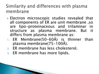 Endoplasmic reticulum- cell Organelle | PPTX