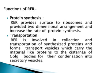 Endoplasmic reticulum- cell Organelle | PPTX