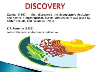 Endoplasmic reticulum- cell Organelle | PPTX