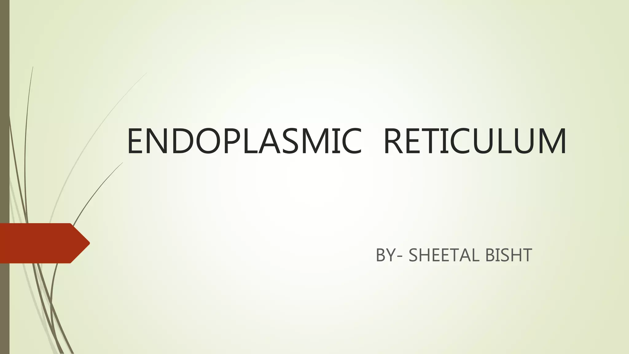 Endoplasmic reticulum | PPT