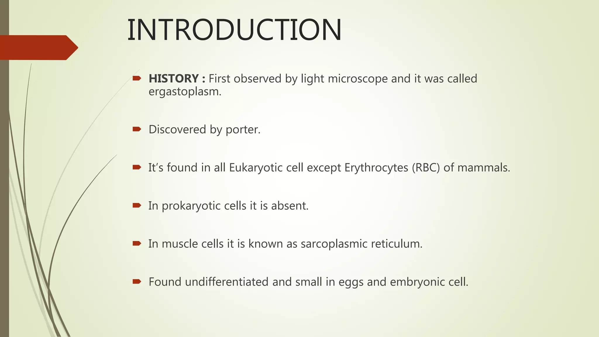 Endoplasmic reticulum | PPT