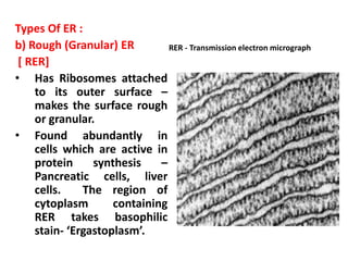 ENDOPLASMIC RETICULUM SMG | PPT