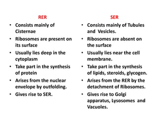 ENDOPLASMIC RETICULUM SMG | PPT