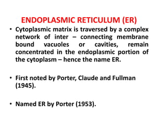 ENDOPLASMIC RETICULUM SMG | PPT