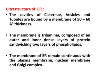 ENDOPLASMIC RETICULUM SMG | PPT