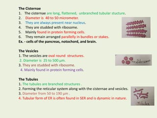 Endoplasmic reticulum | PPTX