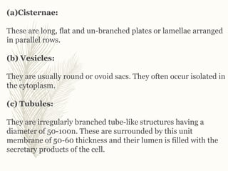 Endoplasmic reticulum | PPTX
