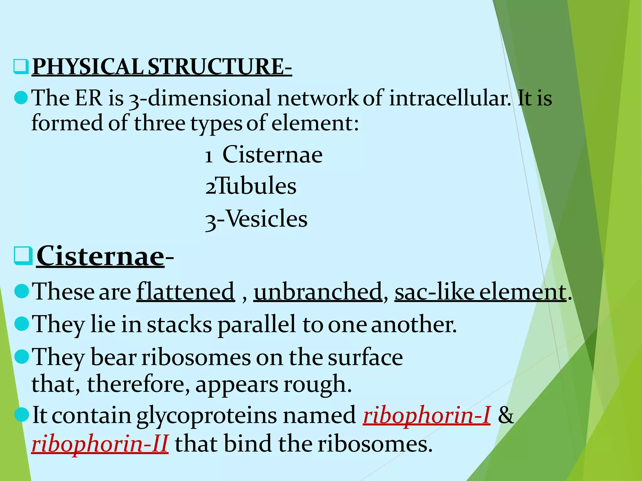 Endoplasmic reticulum | PPTX