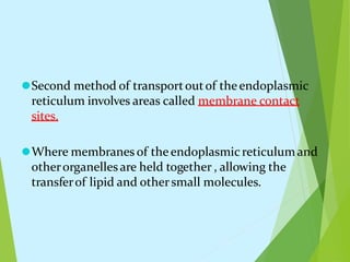 Endoplasmic reticulum | PPTX