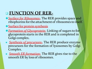 Endoplasmic reticulum | PPTX
