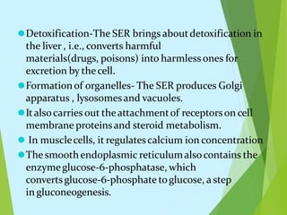 Endoplasmic reticulum | PPTX