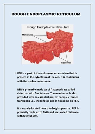Endoplasmic reticulum.pdf