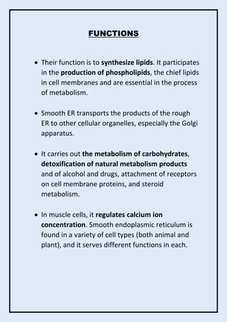 Endoplasmic Reticulum The Lipid And Protein Processing Machinery Of