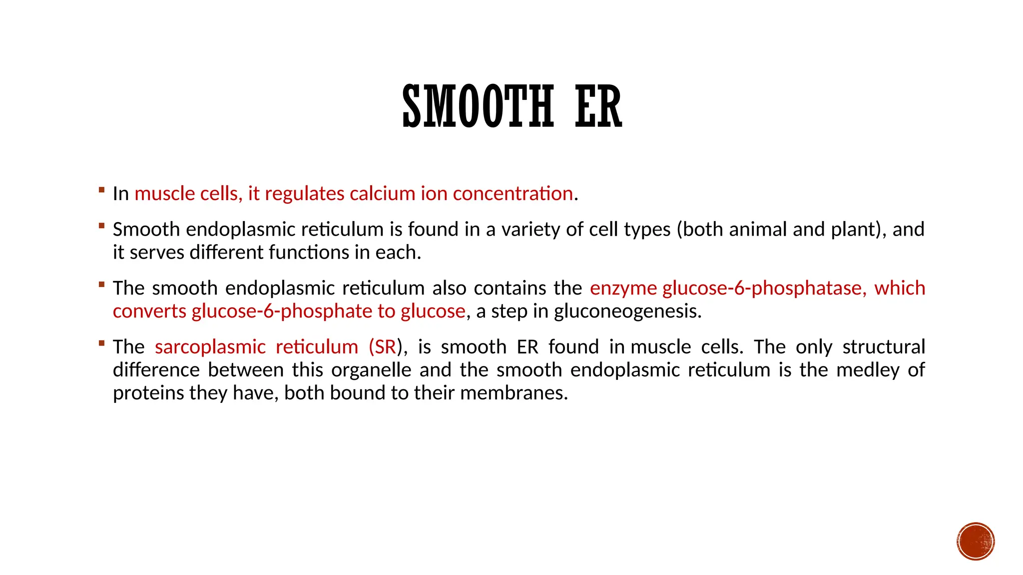 endoplasmic reticulum For Undergrduate students of BS Applied ...
