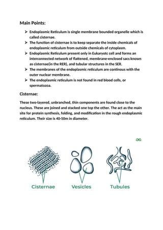 Endoplasmic Reticulum.........................docx